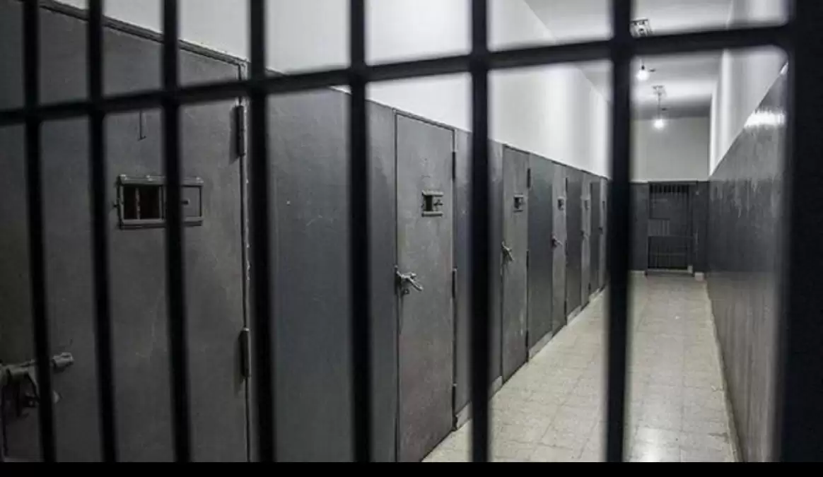 Bokep abg bule cantik