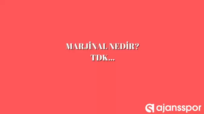 Marjinal'ın anlamı nedir? Marjinal ne demek? Marjinal nedir? Marjinal ...