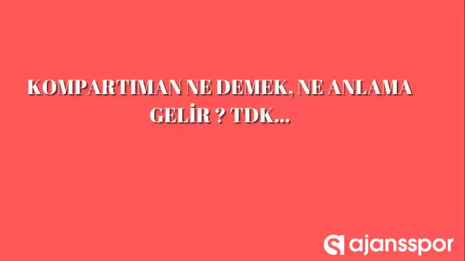 Kompartıman ne demek?